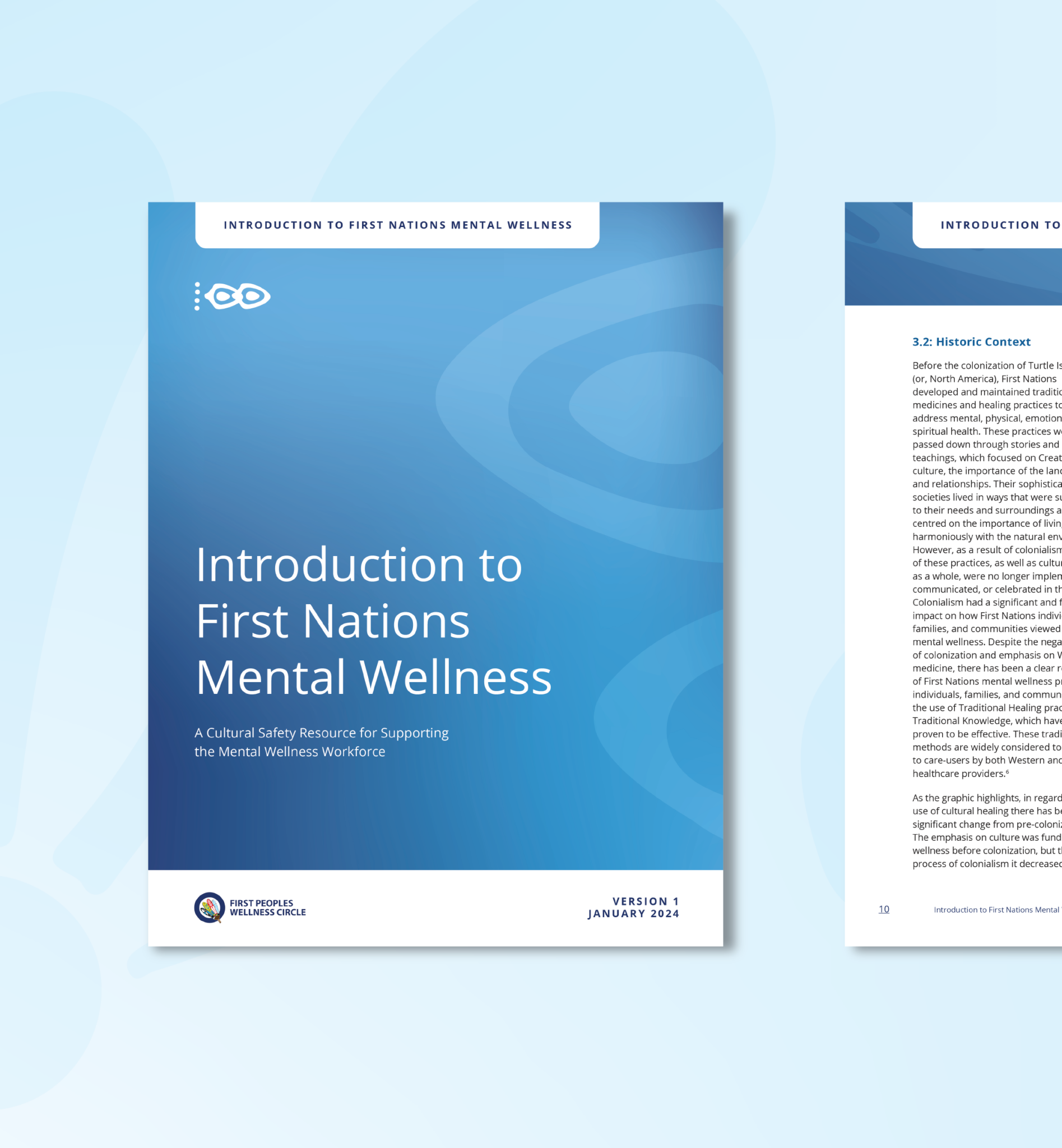 Introduction to First Nations Mental Wellness – First Peoples Wellness ...